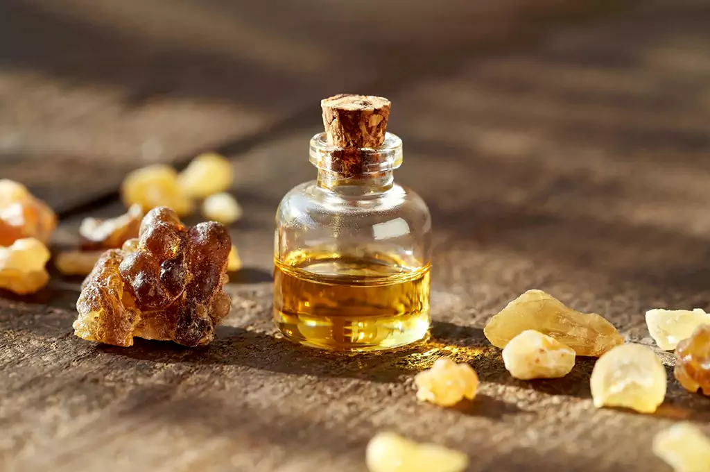 The Wonders of Frankincense Oil | Frankincense Oil Uses, Benefits, and ...